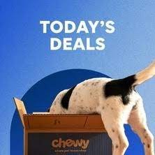 What Do Cavapoo Tails Look Like – Tail Docking, Injuries And Tail Care ...